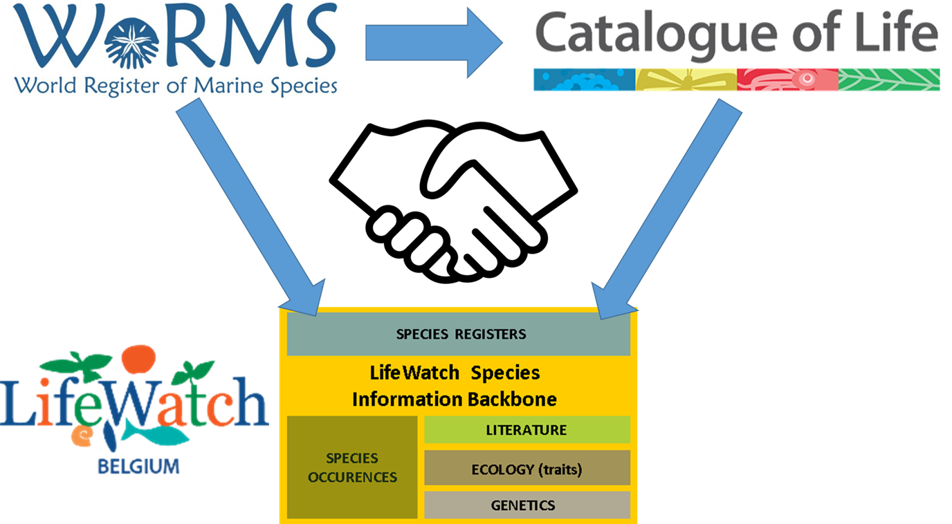 WoRMS - World Register of Marine Species
