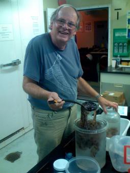 WoRMS - World Register of Marine Species