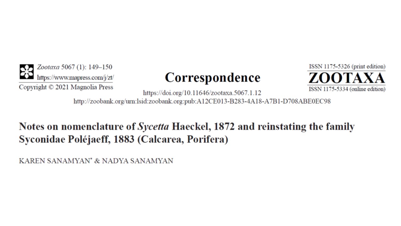 World Porifera Database