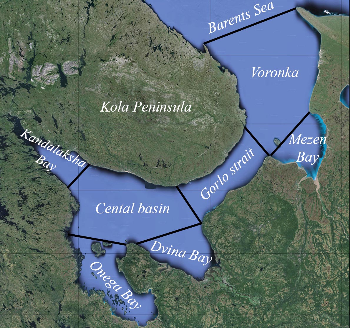 World Porifera Database