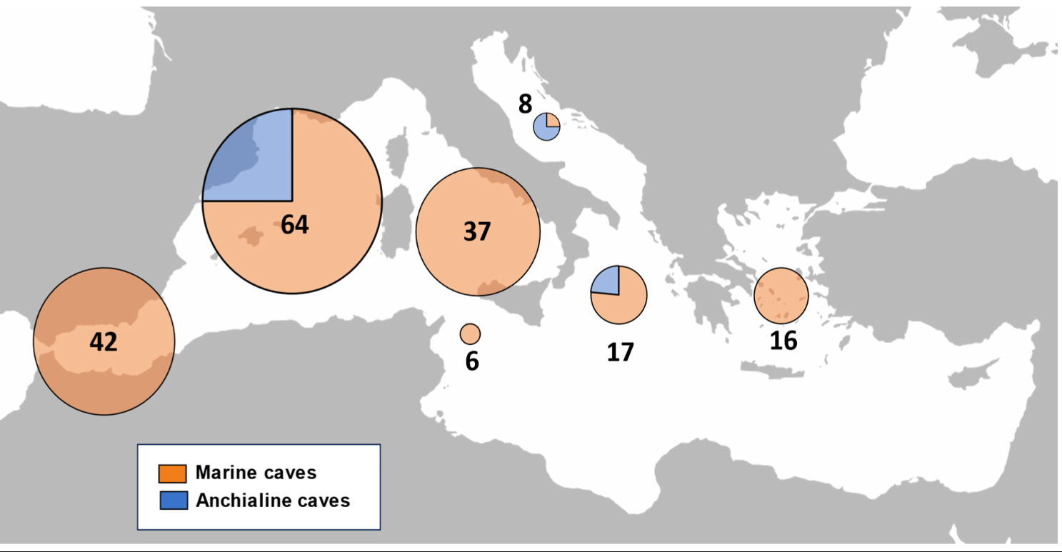 World Register of marine Cave Species (WoRCS)